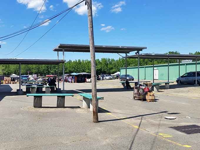 Wide open spaces mean room to roam, explore, and pretend you're not about to fill your trunk completely.