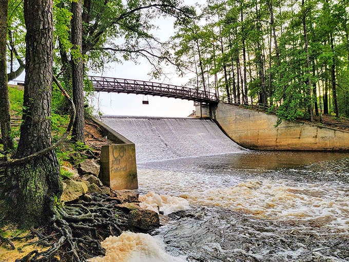 Nature's own waterslide! The Eureka Lake Dam creates a mesmerizing cascade that's more soothing than any meditation app you've downloaded and forgotten to use.