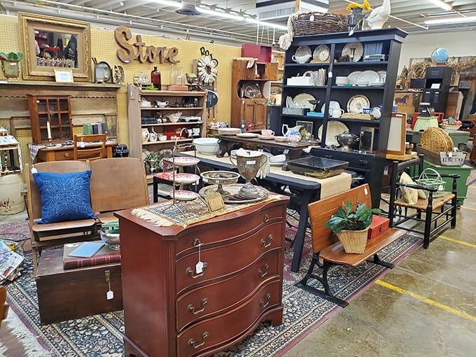 Every corner reveals another carefully curated collection, proof that one person's attic is another's paradise.