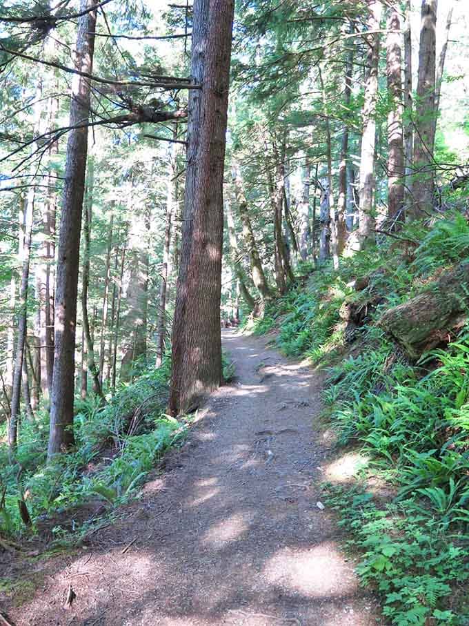 The forest trail beckons like a scene from a fairy tale &ndash; minus the wicked witch and with significantly better air quality.