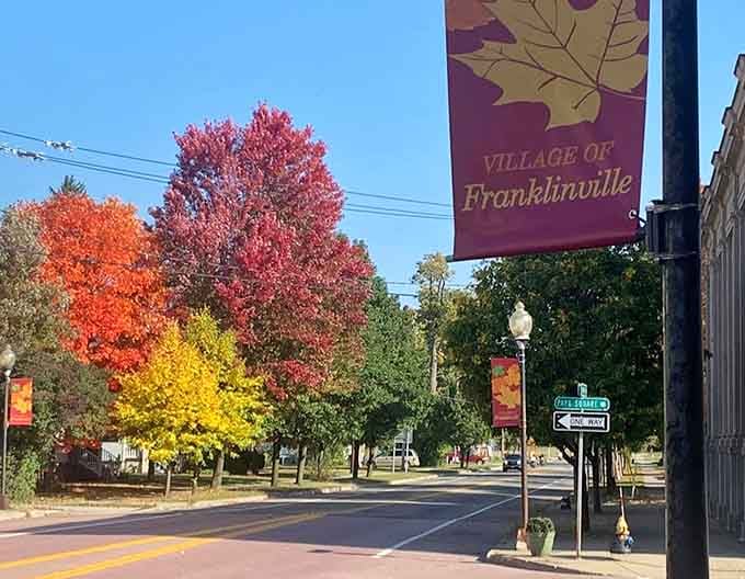 Fall foliage so vibrant it makes your phone's saturation settings look like they're telling the truth.