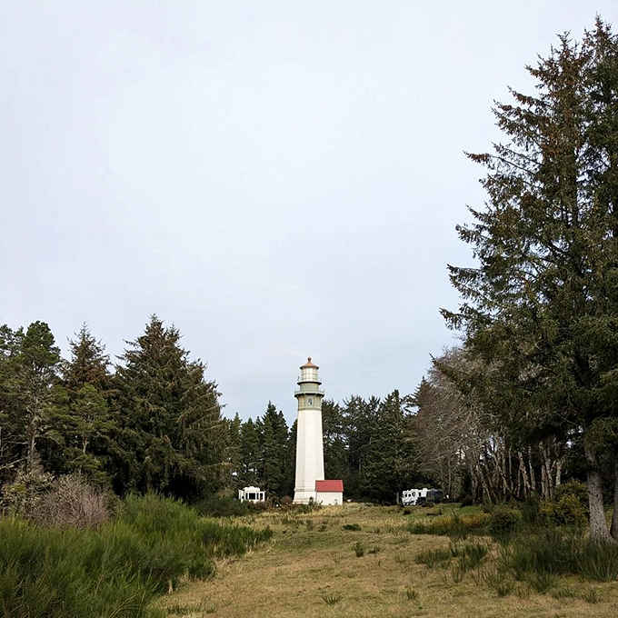 The approach through coastal grasslands builds anticipation perfectly, like the world's most scenic warm-up before your stair-climbing adventure begins.