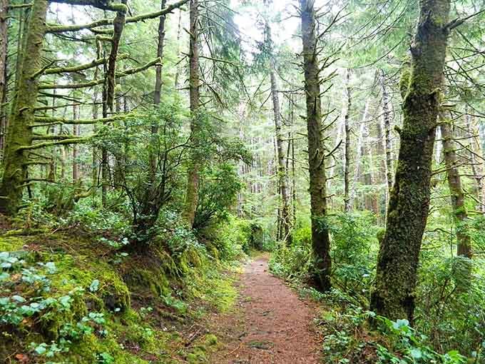 This moss-draped pathway whispers "adventure ahead" in the most polite, Pacific Northwest way imaginable.