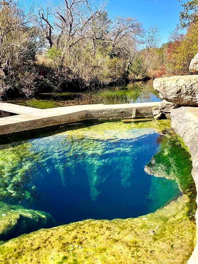 Water so clear you can see tomorrow's plans changing to include a swim at this stunning spring.