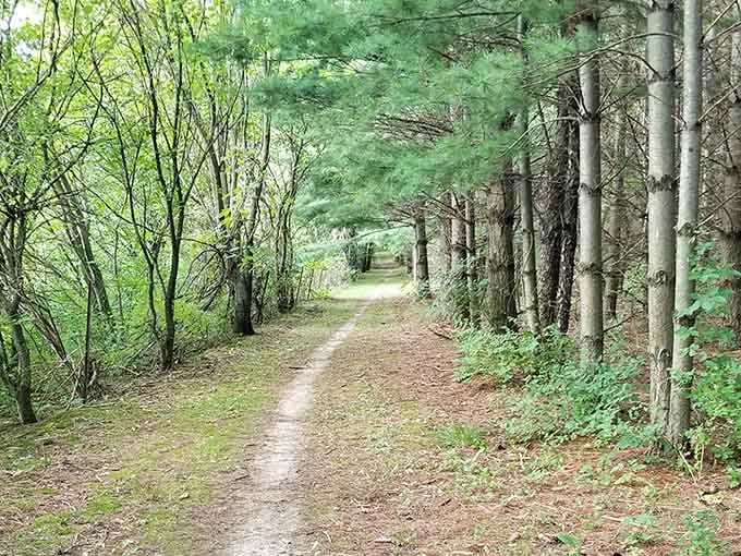 Tree-lined trails through the Driftless Area offer free entertainment when you're saving hundreds monthly on housing costs.