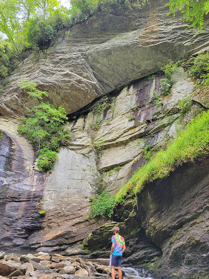 These ancient rock layers tell stories older than your family tree, beautifully draped in emerald moss.