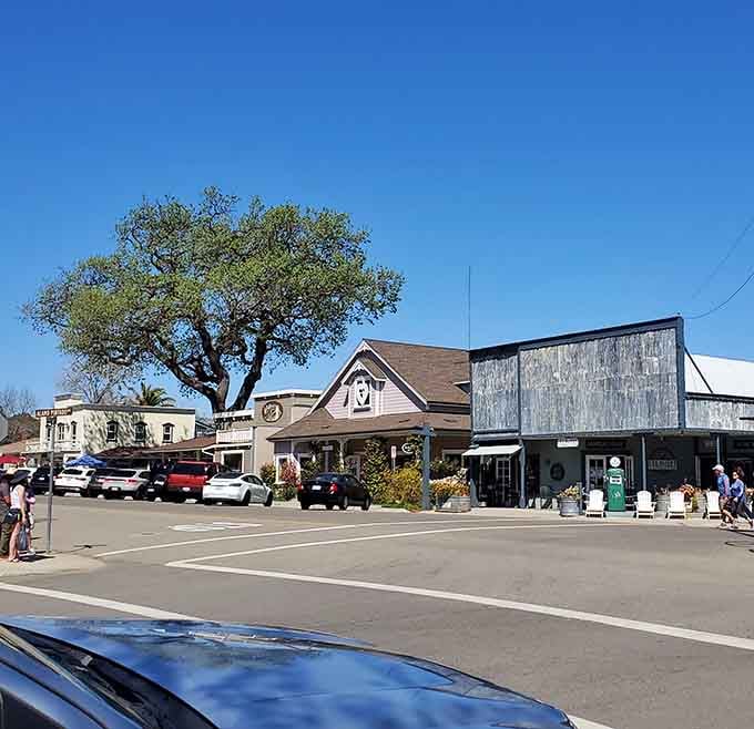 Los Olivos street views prove that sometimes the best attractions are the ones you can stroll through slowly.