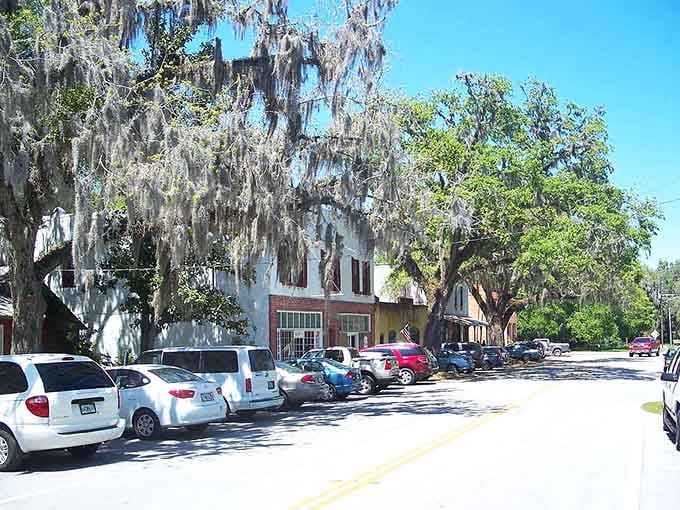 Those live oaks have seen more Florida history than all the theme parks combined, and they're not talking.