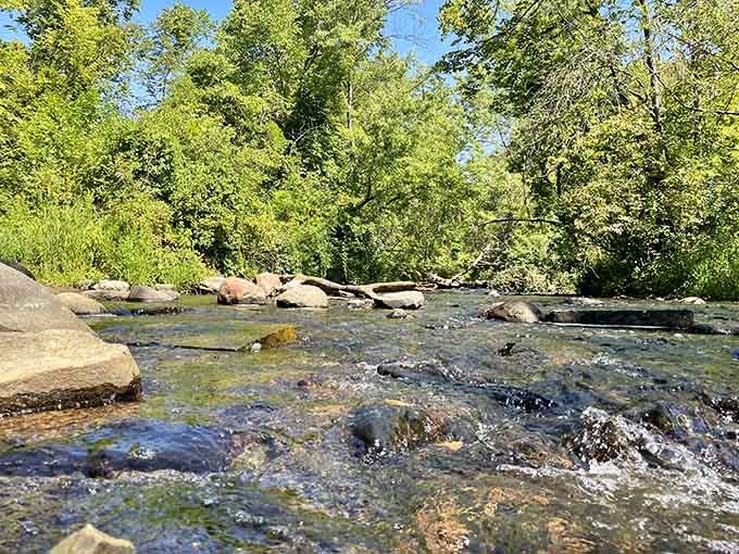 Crystal-clear water dances over ancient stones, creating a symphony that's been playing long before streaming services existed.