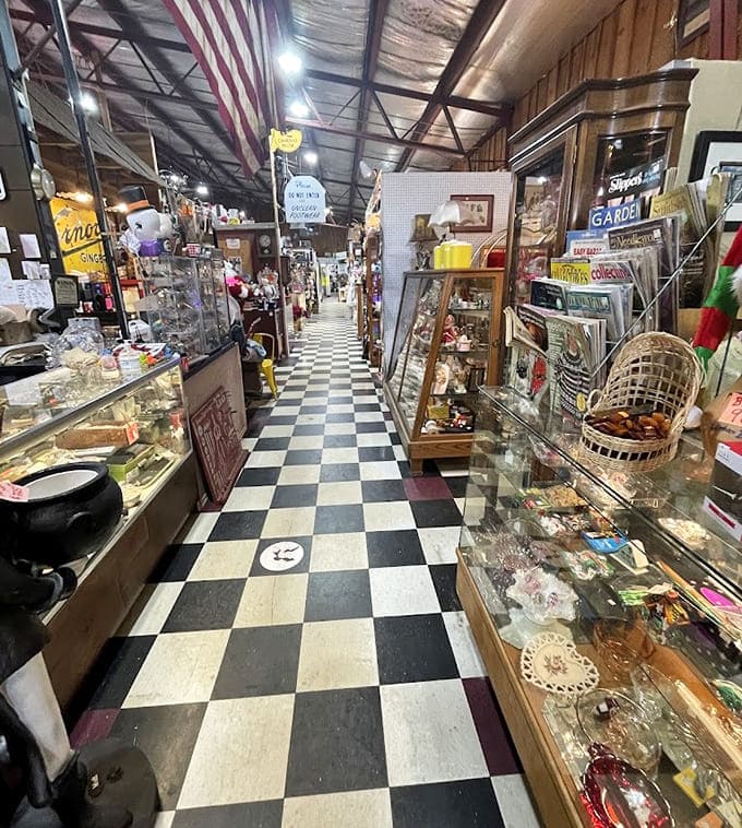 Those checkered floors lead you down memory lane, where every turn reveals another decade's worth of discoveries.