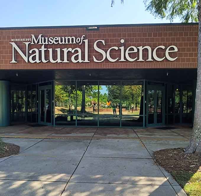 Knowledge and nature join forces at the Museum of Natural Science entrance. Step inside to discover Mississippi's wild side before exploring the real thing outside.