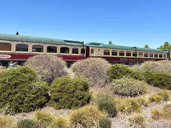 The burgundy and cream cars wind through Napa like a elegant snake with excellent taste in real estate.