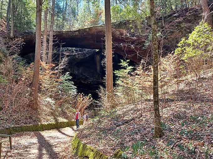 Viewing the bridge from above reveals its true majesty, a 200-million-year-old architectural marvel that required zero permits.