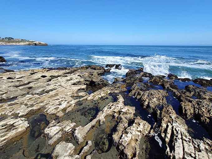 These tide pools are basically nature's version of a really good aquarium, minus the admission fee.