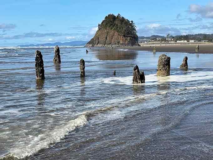 Proposal Rock stands guard while ancient stumps create nature's most dramatic beach installation below.