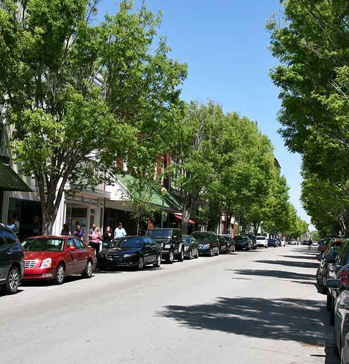 Tree-lined streets where parallel parking feels less like a chore and more like joining a community tradition.