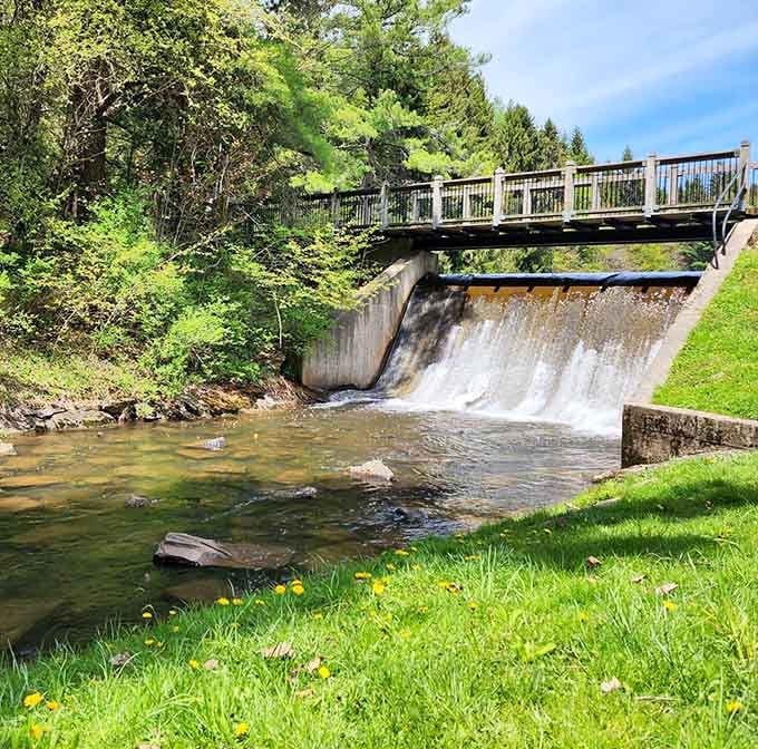 The dam's gentle cascade creates the kind of soothing soundtrack that makes you forget your phone exists.