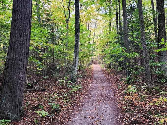 These forest trails whisper secrets that only your hiking boots will ever truly understand.