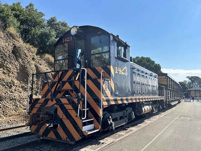 This beauty's been hauling passengers through the canyon for decades, and she's still got plenty of stories to tell.