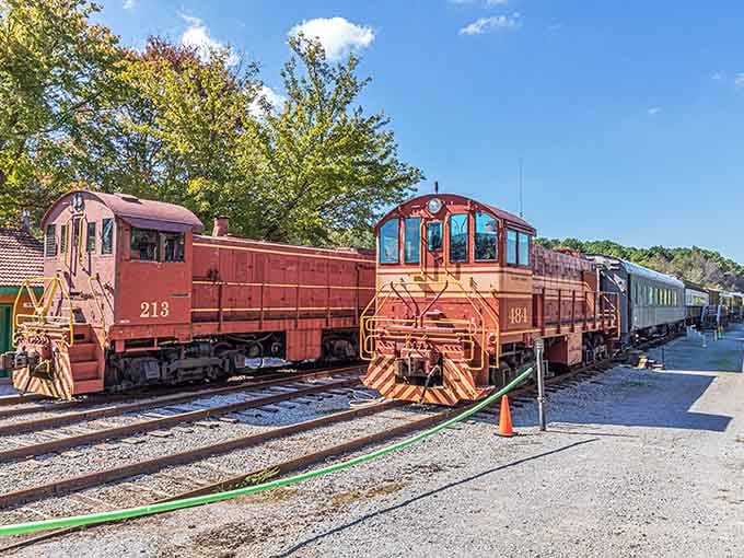 When trains lined up like this, America moved at a pace that let you actually enjoy the scenery.