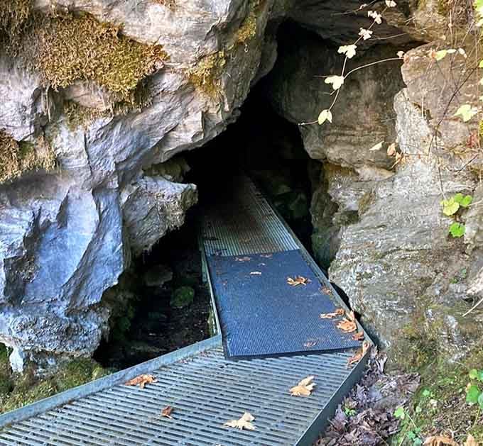 The entrance beckons you into the mountain's secret chambers, where adventure and geology collide in spectacular fashion.