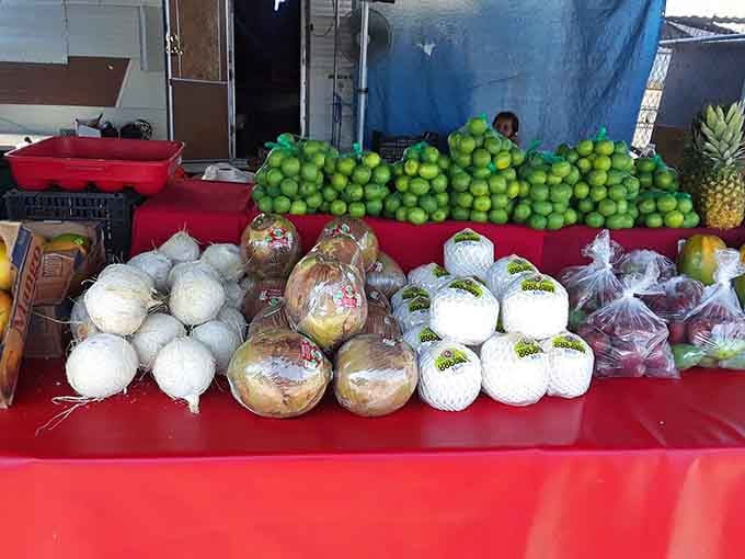 Fresh produce so vibrant it makes your grocery store's sad vegetable section look like a black and white movie.