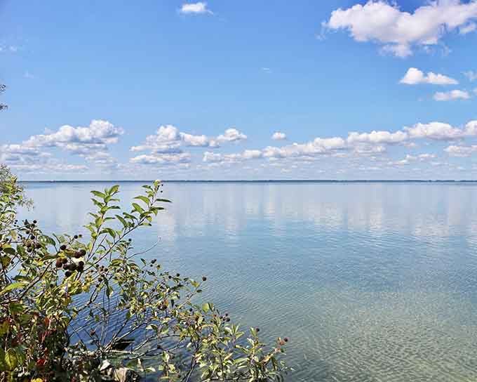 Water so clear and blue, you'd swear someone Photoshopped it, but nope, this is just regular old North Carolina magic.