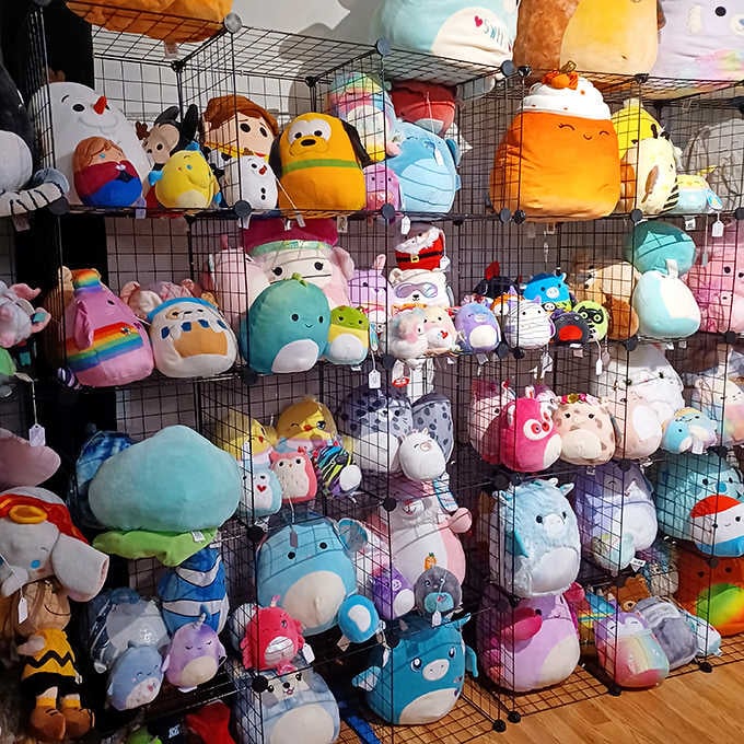 Plushie heaven! These colorful critters stare out from their wire homes, silently pleading, "Take me home and explain me to your confused spouse!"