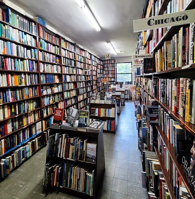 Floor-to-ceiling shelves packed tighter than a Chicago subway at rush hour, but infinitely more pleasant to navigate.