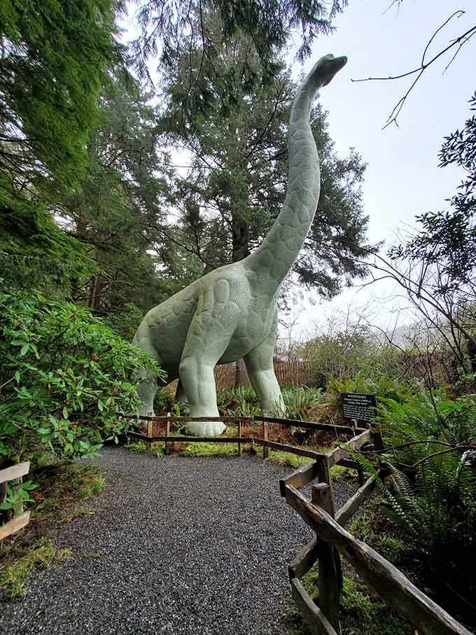 When your neck reaches the treetops, every day is basically a scenic overlook situation.