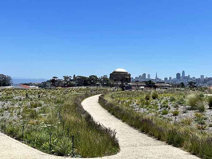 Angel Island watches over this floating garden where traffic hums below and you're up here living your best life.