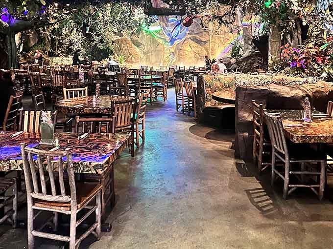 Winding pathways through a manufactured rainforest that somehow feels more magical than the real thing ever could.