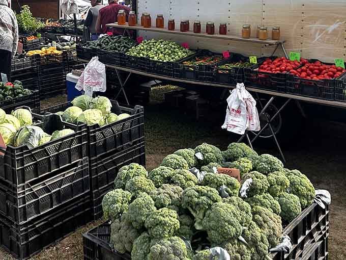 Fresh broccoli crowns and cabbage heads sit in crates like they just arrived from the farm, which they probably did this morning.