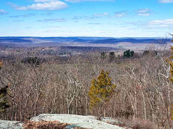 Those rolling Ramapo Mountains stretch forever, proving the Garden State has legitimate wilderness credentials after all.