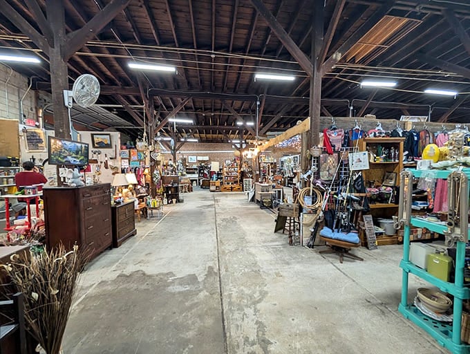 Wide aisles and exposed beams create a warehouse of wonders where getting lost is half the fun.