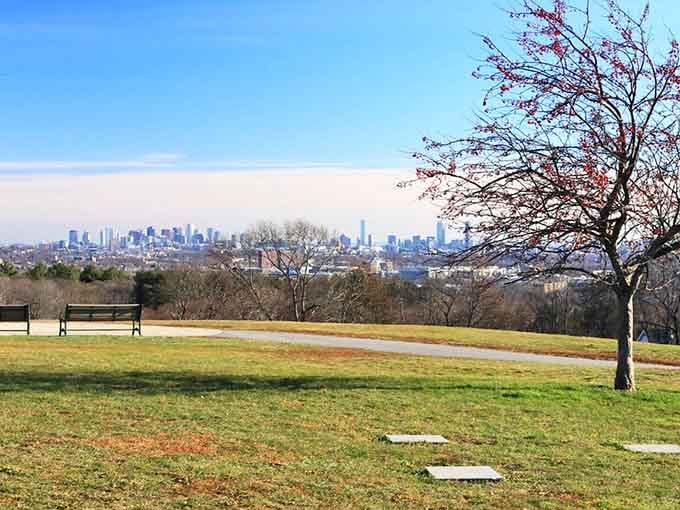 Open green spaces where kids can run wild and parents can finally sit down for five minutes.