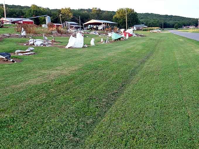 The Rock Zoo stretches across the landscape like a geological petting zoo that requires zero actual animal maintenance.