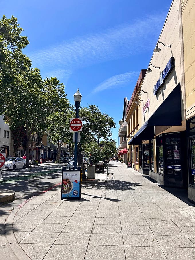 Downtown Santa Cruz where the trees provide shade and the vibe provides something you can't quite define.