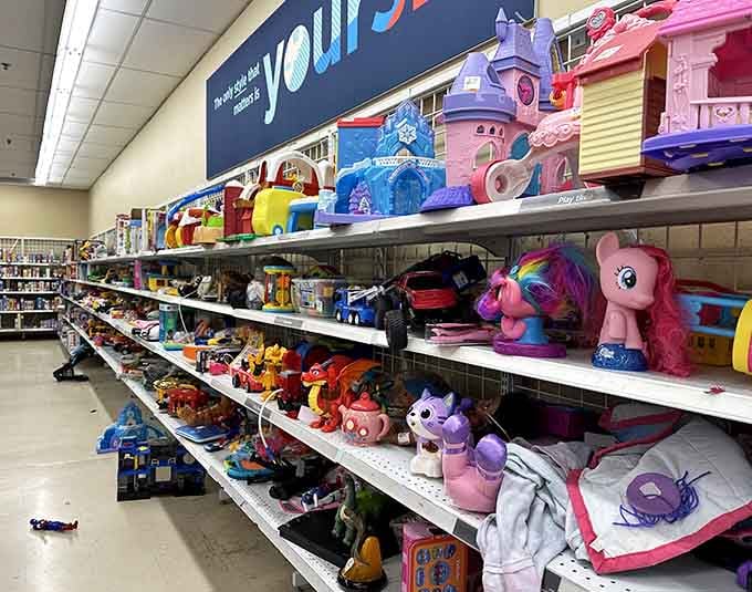 My Little Pony shares shelf space with action figures in this colorful wonderland of second chances.