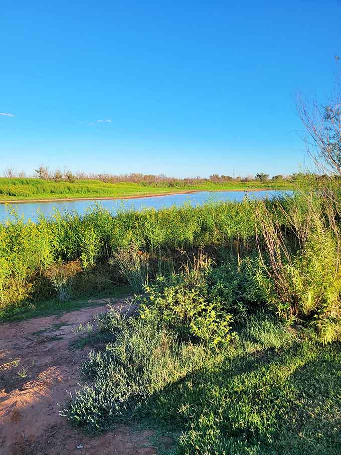 West Texas landscapes offer surprising pockets of green where you can breathe without spending your entire paycheck.