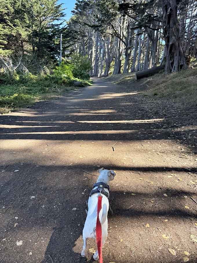 Your furry companion knows what's up: this half-mile stretch offers more interesting scents than a French perfume counter.