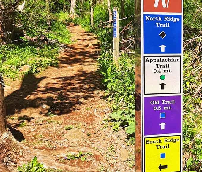 When trail signs look this organized, you know someone actually cares about keeping hikers from wandering into next week.