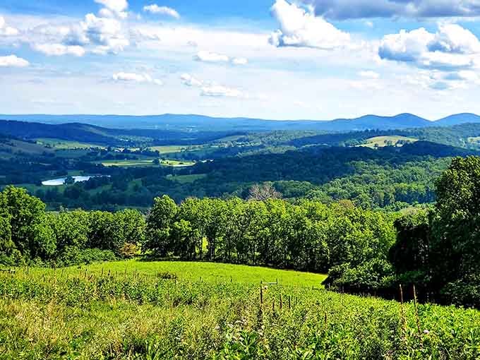 Views so stunning, you'll forget you drove less than an hour to get here.