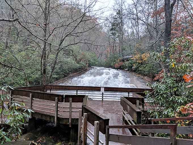 The viewing deck offers front-row seats to watch brave souls take the plunge down this natural wonder.