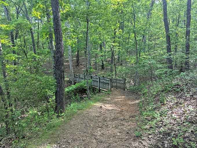 A wooden bridge through the forest invites you to slow down and actually enjoy the journey.