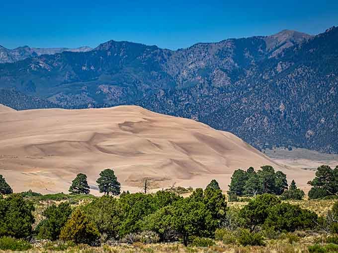 Star Dune rises majestically against the mountain range, proving Colorado's geography has a serious identity crisis going on.
