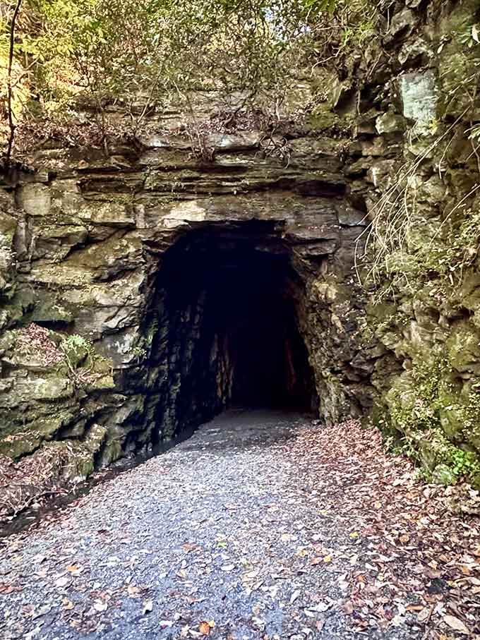 This weathered entrance has been beckoning adventurers since the 1850s, like a portal to another era.