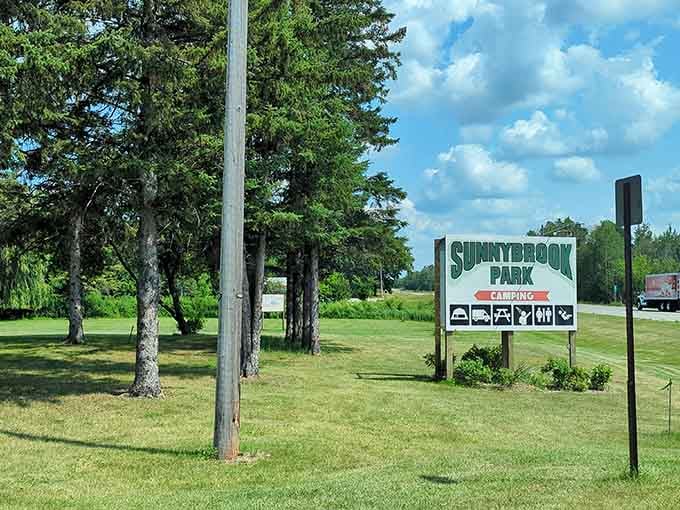 Sunnybrook Park offers camping without the "roughing it" price tag. Those towering pines have witnessed generations of family reunions and first-time fishing triumphs.