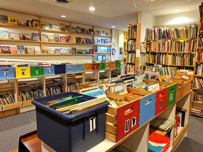 Colorful bins organize the chaos like a rainbow filing system designed by someone who actually gets it.