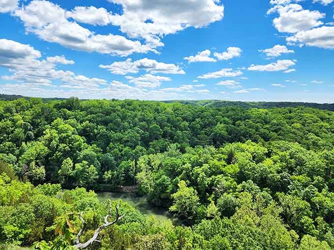 When the Ozark forest stretches out like nature's own green carpet, you realize Missouri's been hiding some serious scenery.